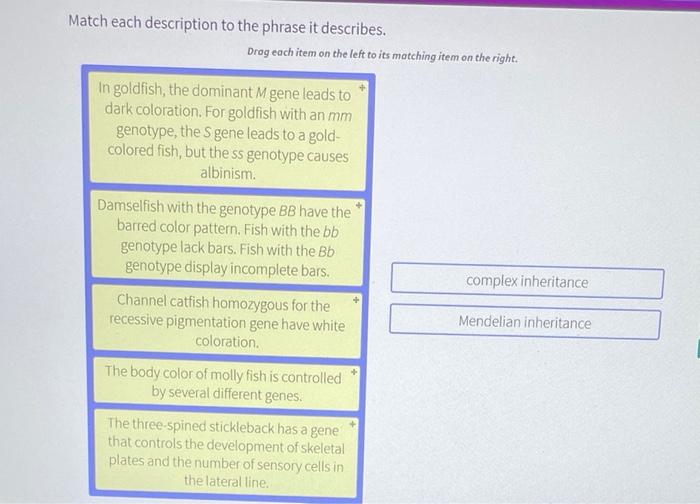 Solved Match each description to the phrase it describes. In | Chegg.com