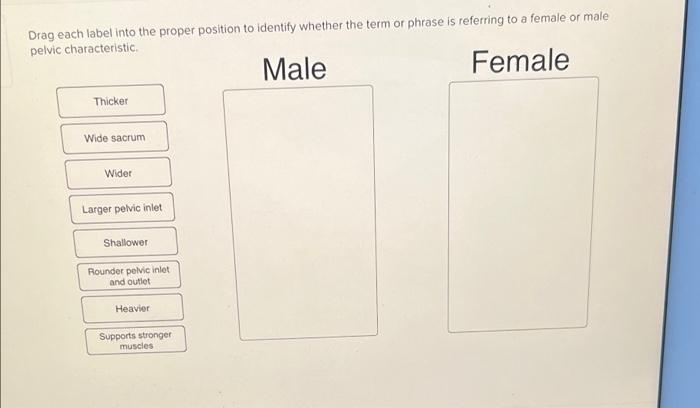 Solved a Drag each label into the proper position to | Chegg.com