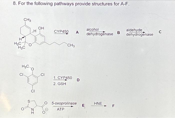 8. For the following pathways provide structures for | Chegg.com