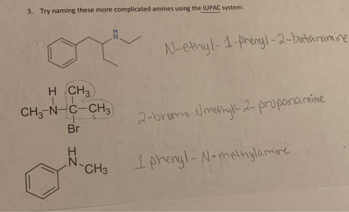 Solved 3. Try naming these more complicated amines using the | Chegg.com