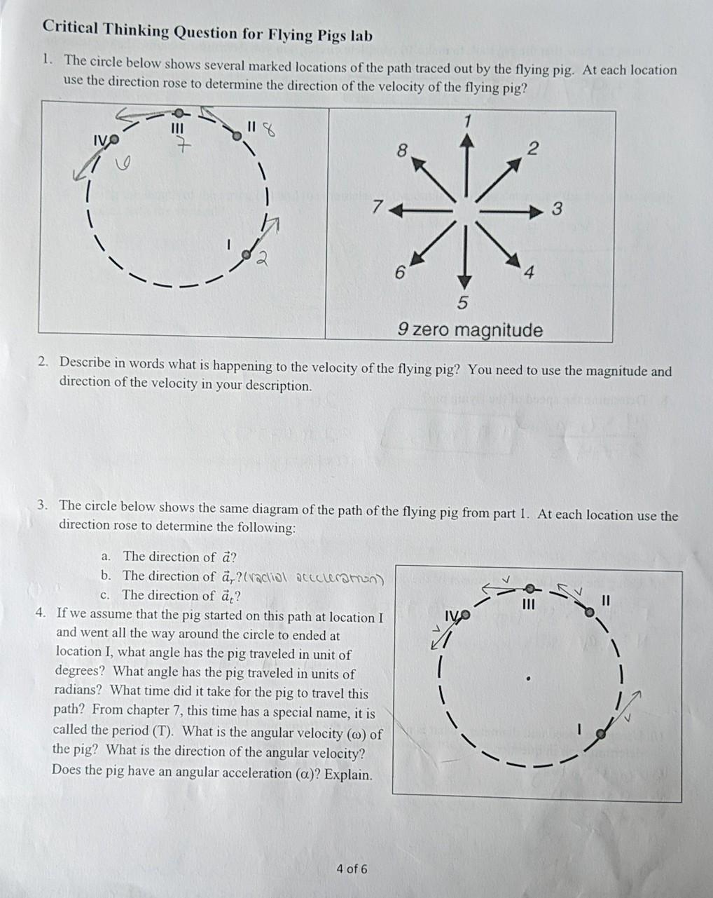 Solved Hello, I am working through my flying pigs lab and am | Chegg.com