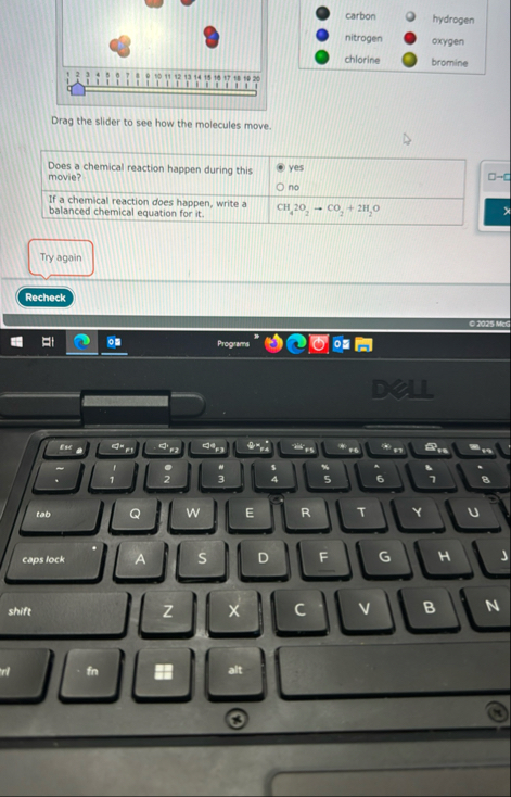 carbonhydrogennitrogenoxygenchlorinebromineDrag the | Chegg.com