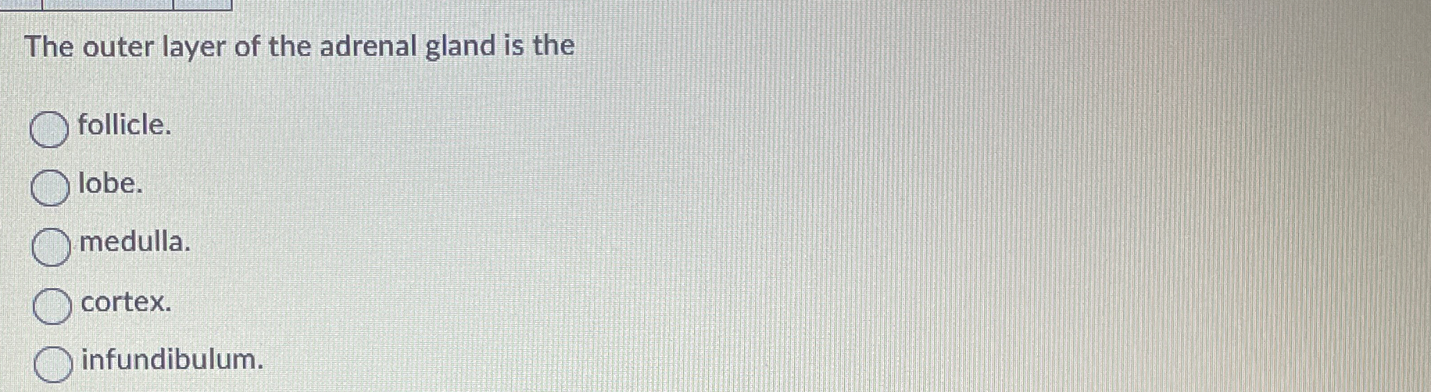 Solved The outer layer of the adrenal gland is | Chegg.com