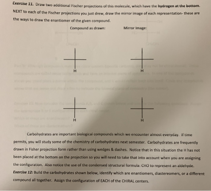 Solved Exercise 11. Draw two additional Fischer projections | Chegg.com