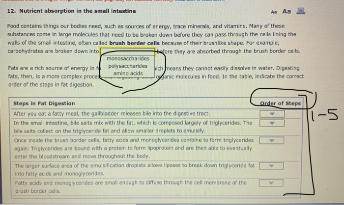 Solved 12. Nutrient absorption in the small intestine Aa Aa | Chegg.com