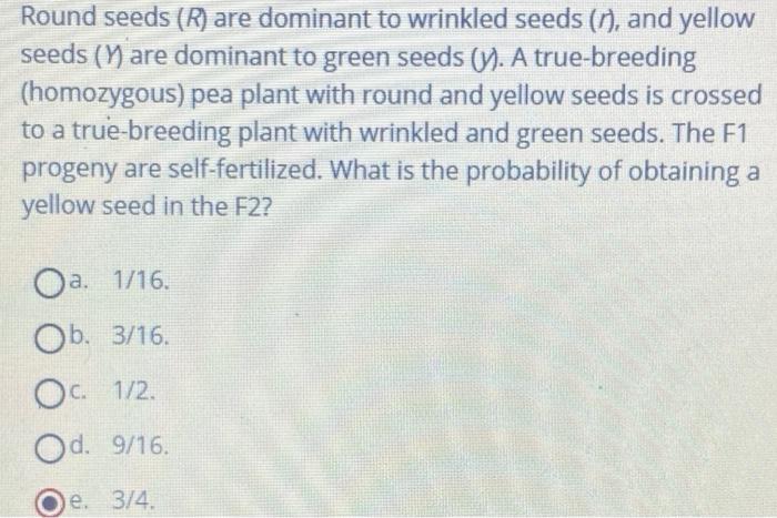 Solved Round seeds (R) are dominant to wrinkled seeds (), | Chegg.com Solved Round seeds (R) are dominant to wrinkled seeds (), | Chegg.com