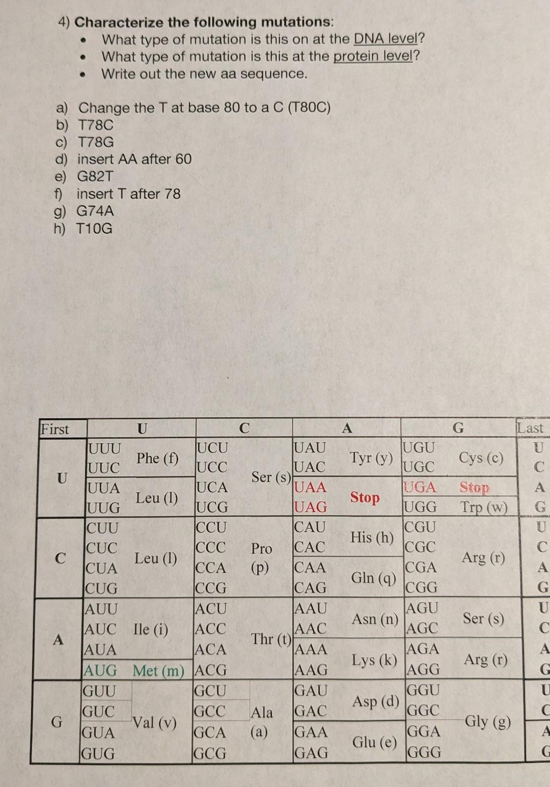 Solved 4) Characterize the following mutations: - What type | Chegg.com