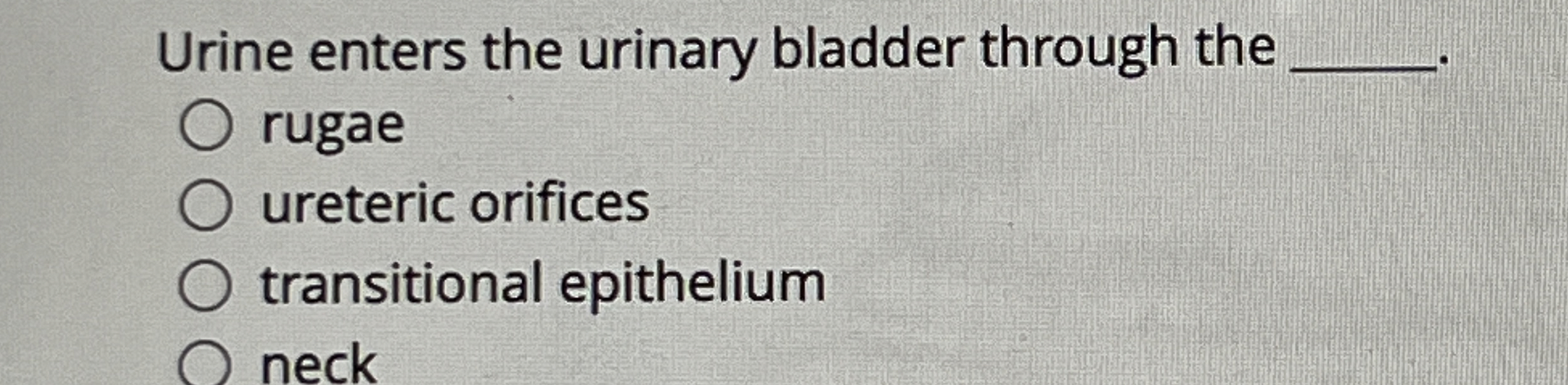 Solved Urine enters the urinary bladder through the | Chegg.com