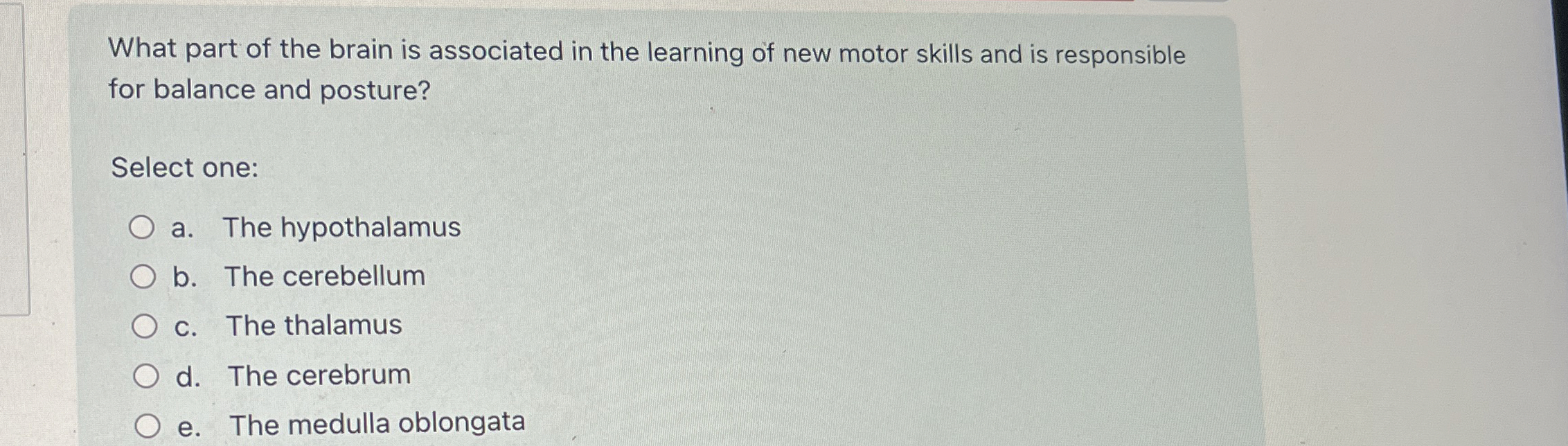 Solved What part of the brain is associated in the learning | Chegg.com
