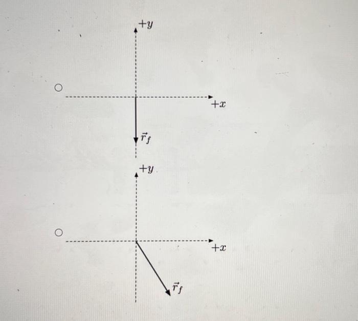 Solved You watch an ant crawl around on a piece of paper. | Chegg.com