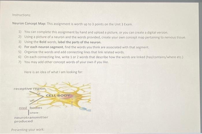 Solved Instructions: Neuron Concept Map: This assignment is | Chegg.com