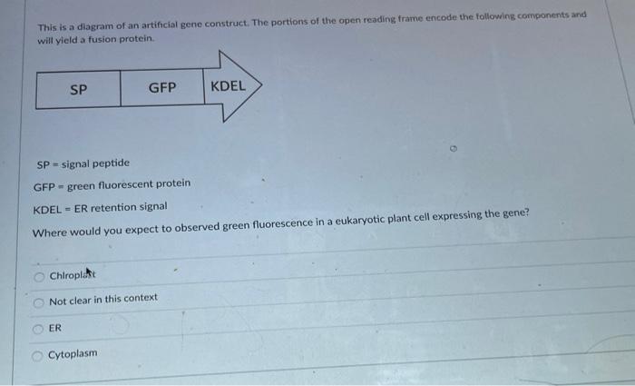 Solved This is a diagram of an artificial gene construct. | Chegg.com