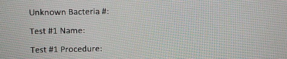 Solved MAC Plate Negative Stain Gram Stain 1 Negative | Chegg.com