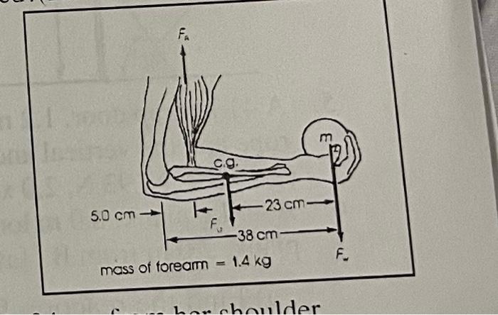Solved Given the dimensions on the diagram of the forearm | Chegg.com