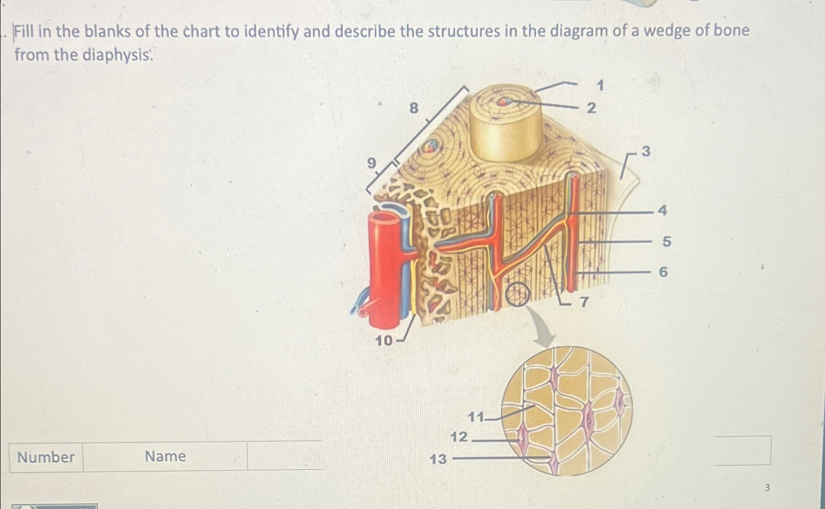Solved Fill in the blanks of the chart to identify and | Chegg.com