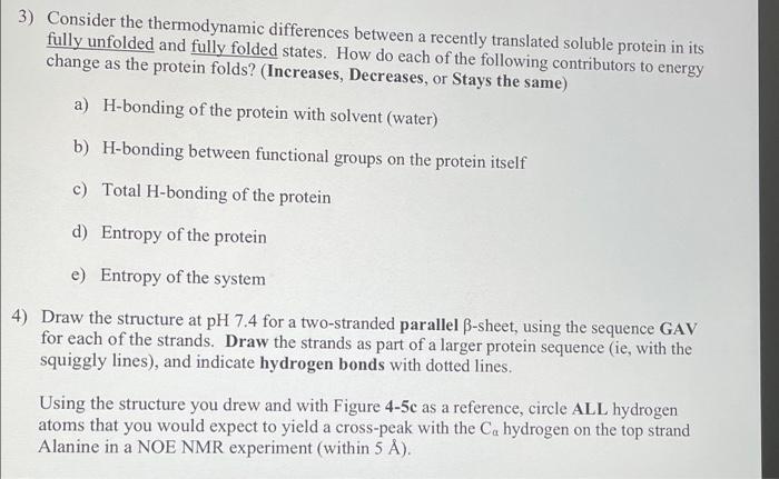 Draw the structure at pH 7.4 for a two-stranded | Chegg.com