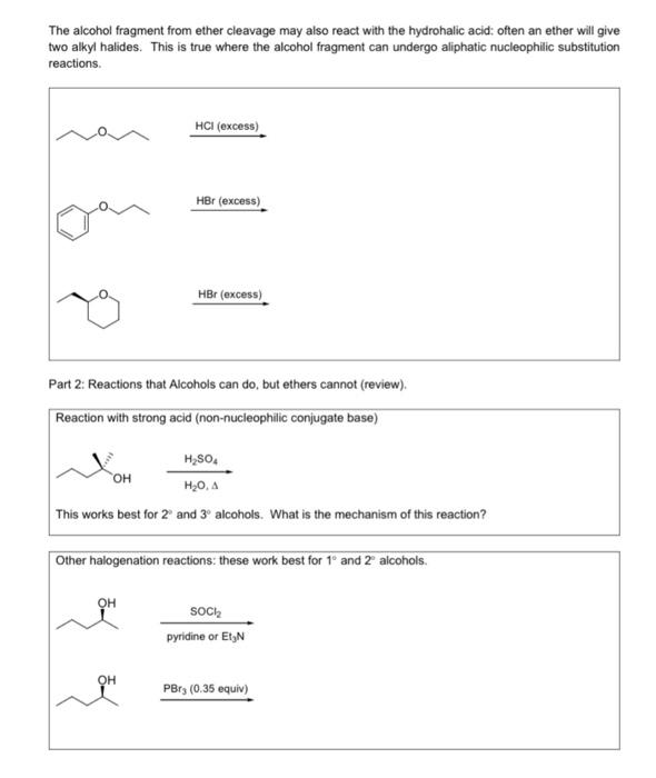 Solved The alcohol fragment from ether cleavage may also | Chegg.com