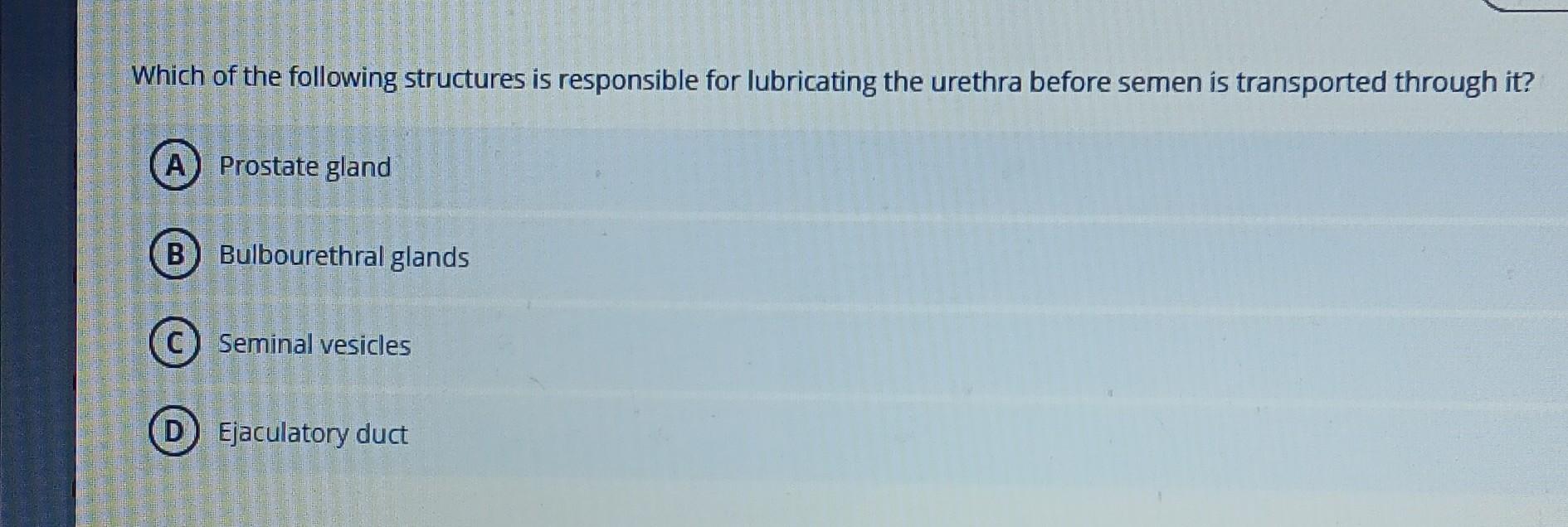 Solved Which of the following structures is responsible for | Chegg.com