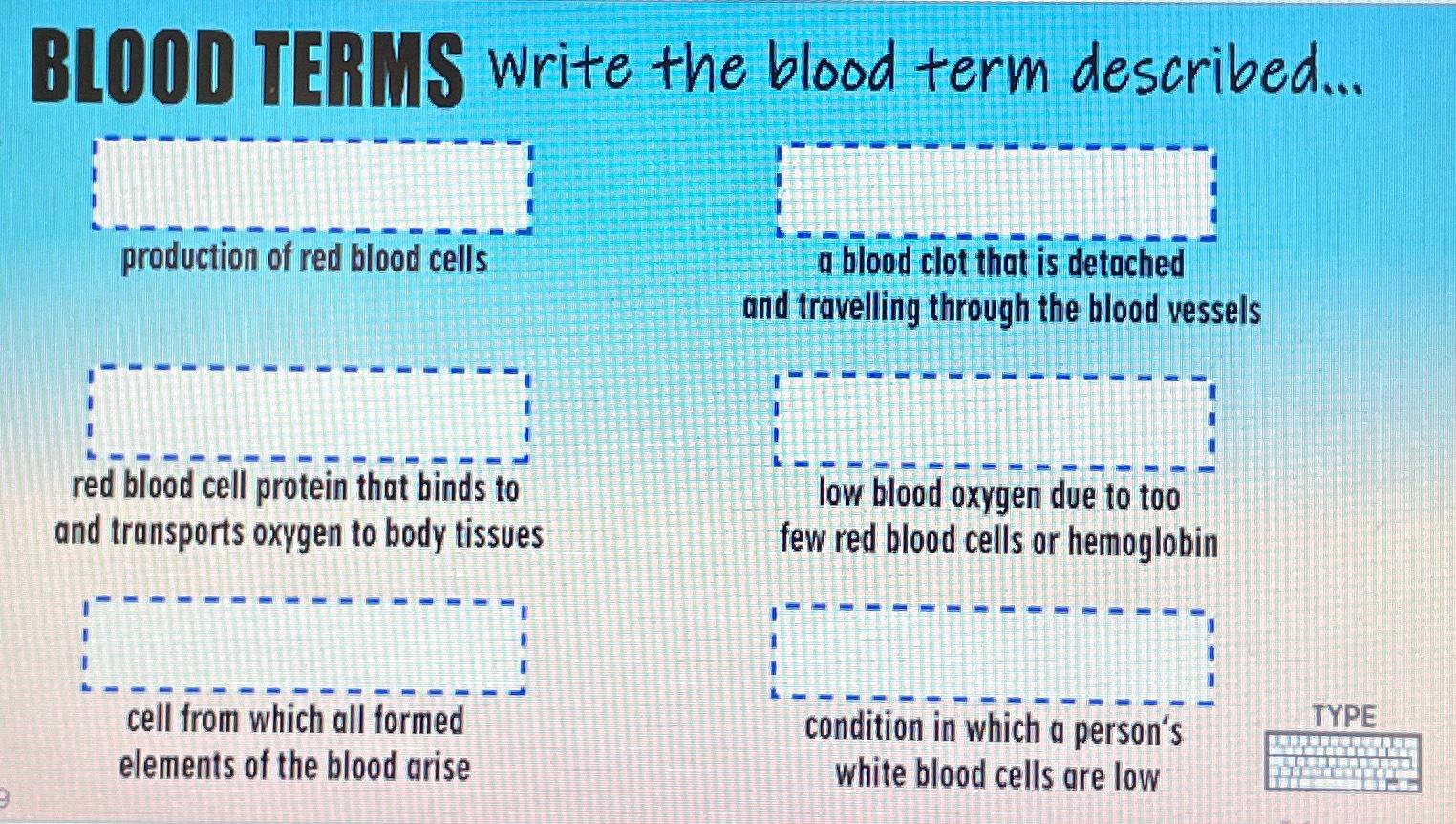 Solved BLOOD TERMS write the blood term | Chegg.com