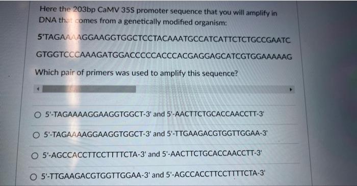 Solved Here the 203bp CaMV 35 S promoter sequence that you | Chegg.com