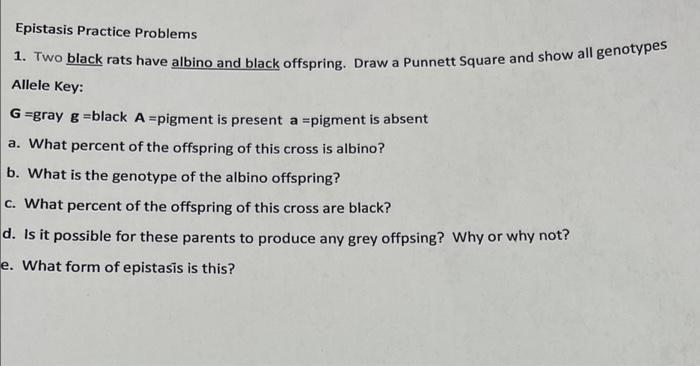 Solved Epistasis Practice Problems 1. Two black rats have | Chegg.com