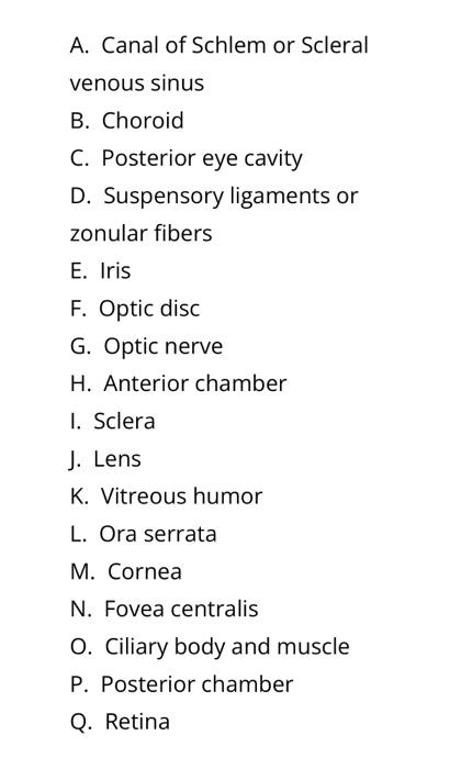 Solved Match the following terms with the correct numbers in | Chegg.com