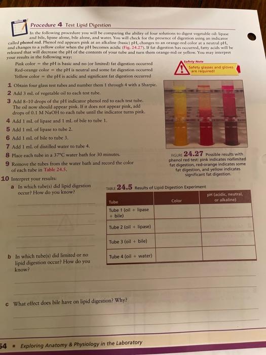 Solved Procedure 4 Test Lipid Digestion In the following | Chegg.com