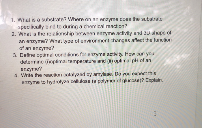 Solved 1. What is a substrate? Where on an enzyme does the | Chegg.com