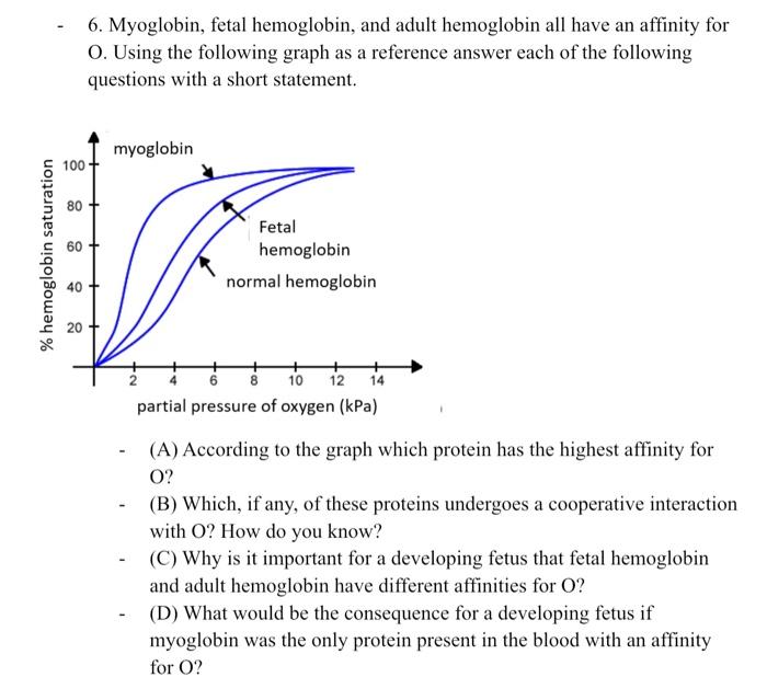 Solved 6. Myoglobin, fetal hemoglobin, and adult hemoglobin | Chegg.com