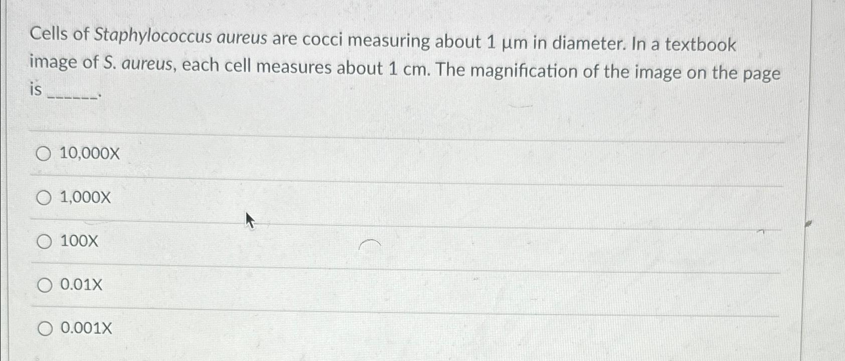 Solved Cells of Staphylococcus aureus are cocci measuring | Chegg.com