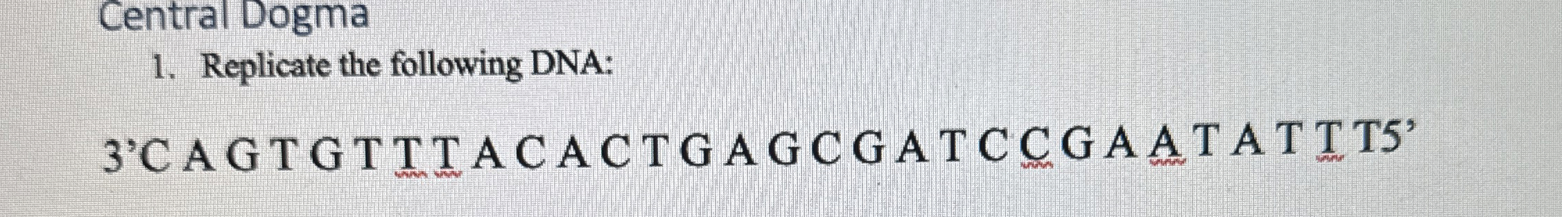 Solved Central DogmaReplicate the following DNA:3'C A G T G | Chegg.com