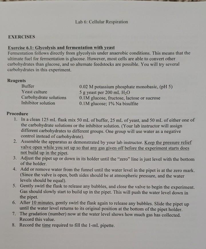 Solved Lab 6: Cellular Respiration EXERCISES Exercise 6.1: | Chegg.com
