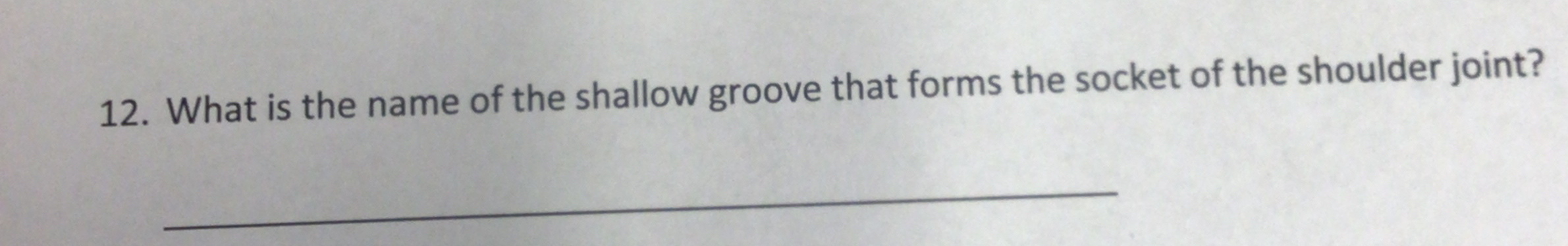 Solved What is the name of the shallow groove that forms the | Chegg.com