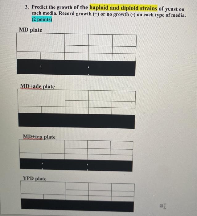Week 5: Complementation Assignment 1 Total Points 5 | Chegg.com