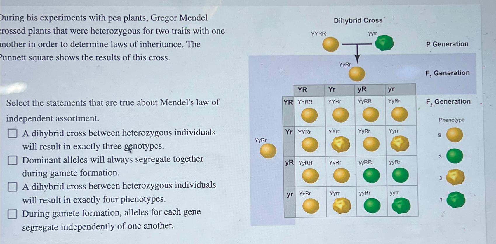 Solved During his experiments with pea plants, Gregor Mendel | Chegg.com