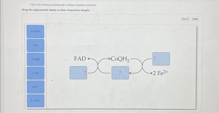 Solved What is the energy-carrying product? Oxidative | Chegg.com