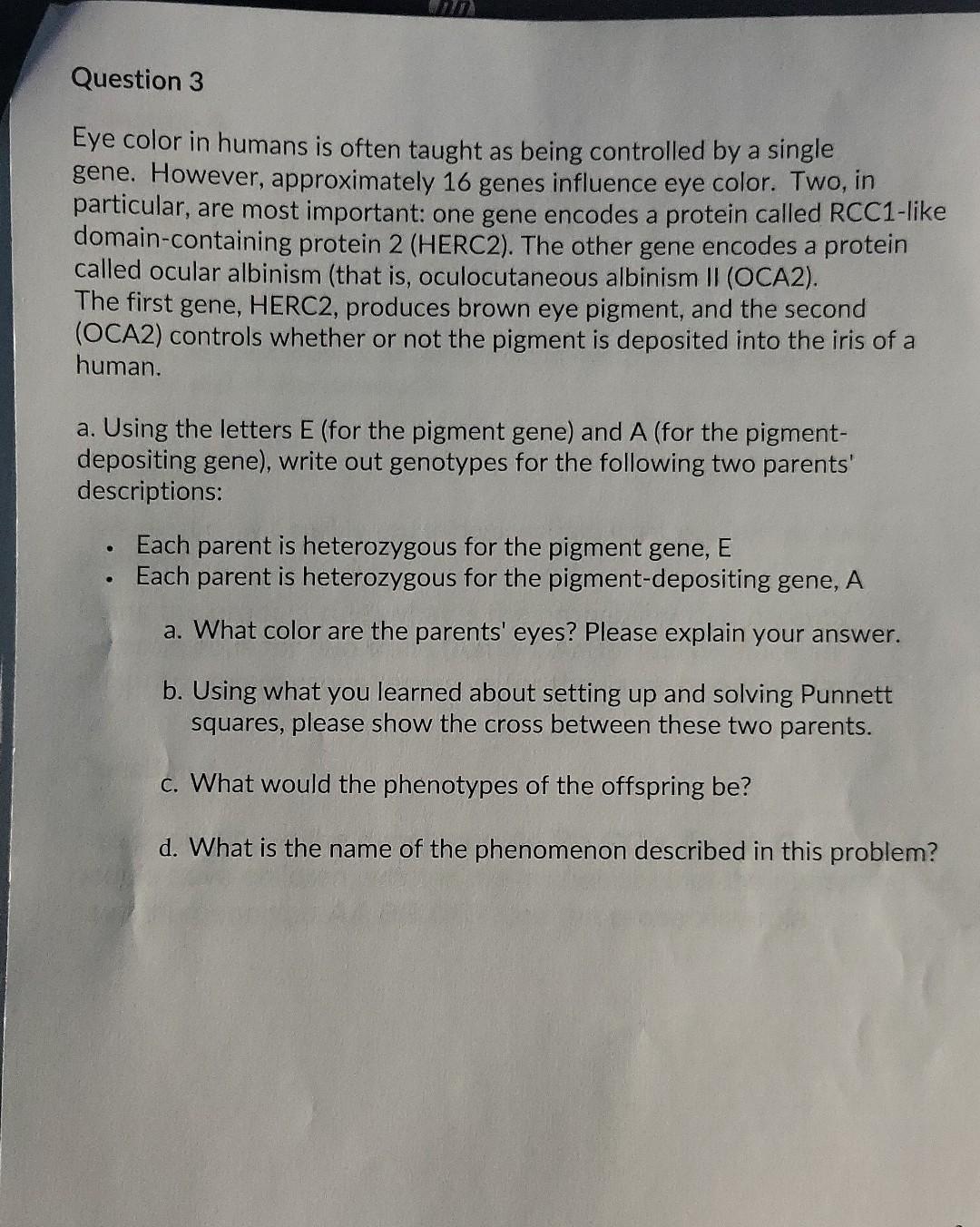 Eye color in humans is often taught as being | Chegg.com
