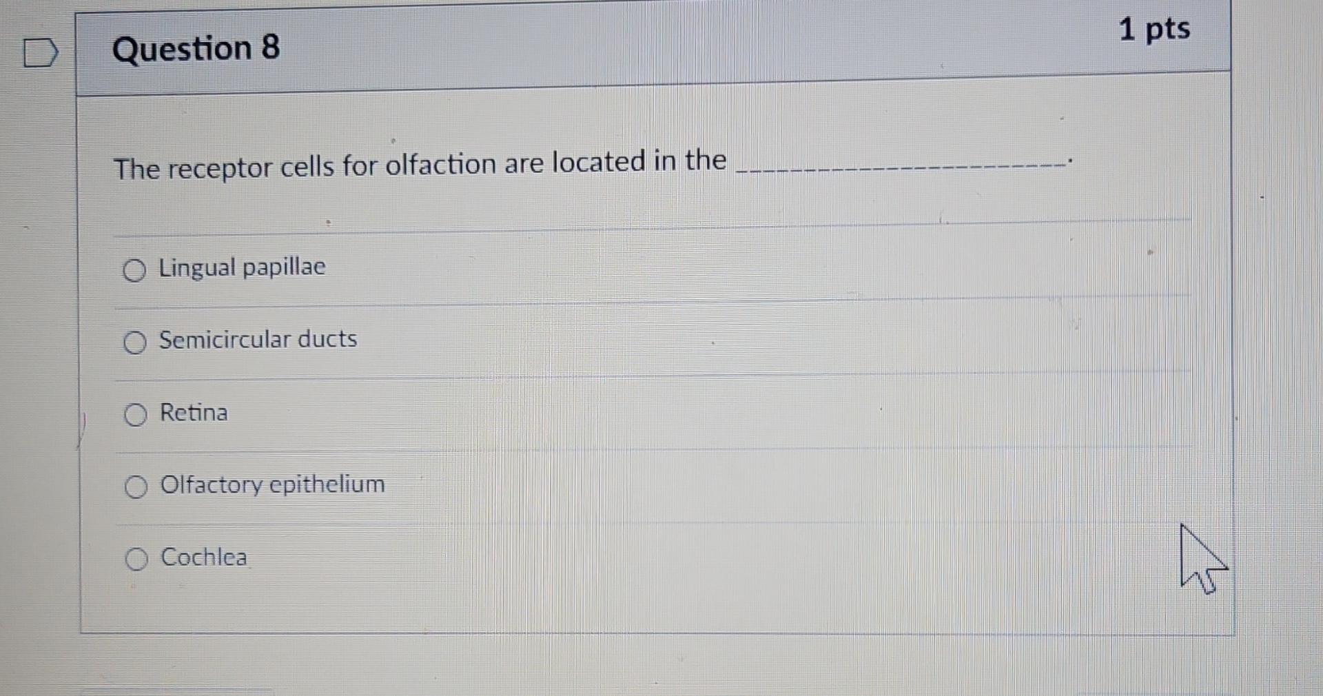 Solved Question 81 ﻿ptsThe receptor cells for olfaction are | Chegg.com
