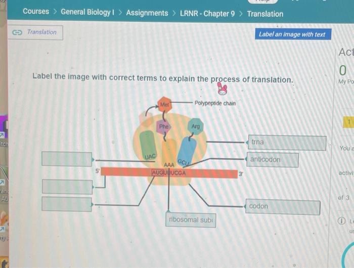 Solved Label the image with correct terms to explain the | Chegg.com