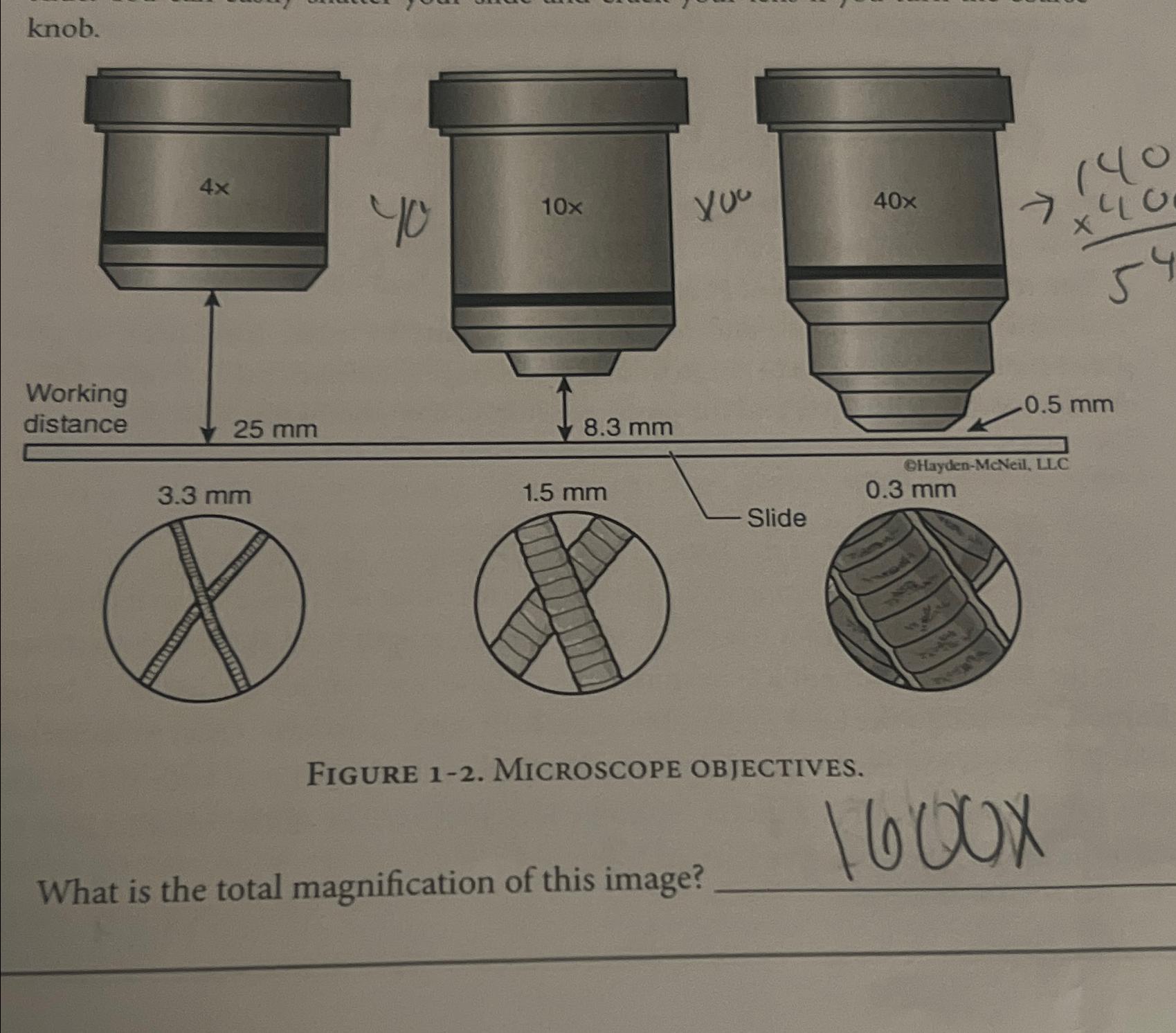 Solved Knob Figure 1 2 ﻿microscope Objectives What Is The