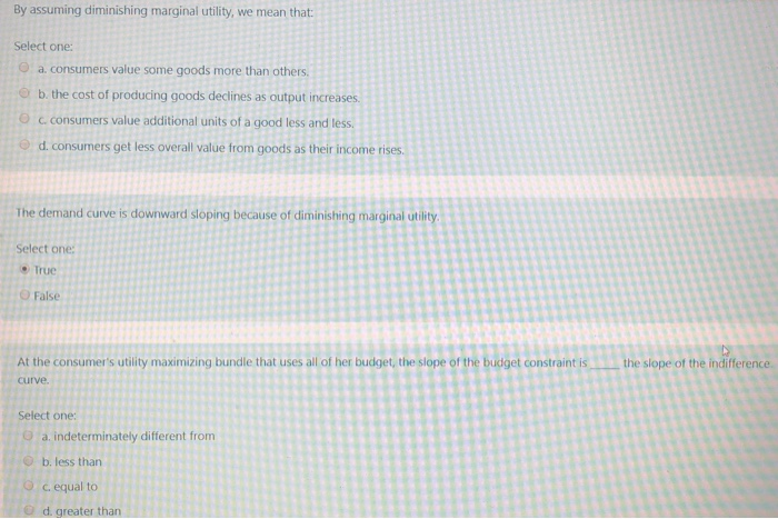 Solved What does a single indifference curve represent? | Chegg.com