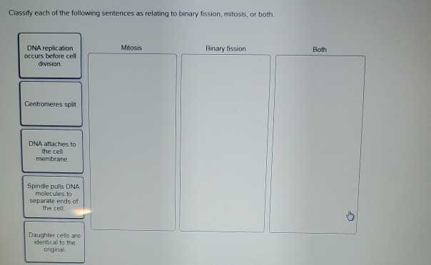 Solved Classify each of the following sentences as relating | Chegg.com