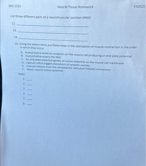 Solved BIO 2331 Muscle Tissue \& Organs Homework Skeletal | Chegg.com