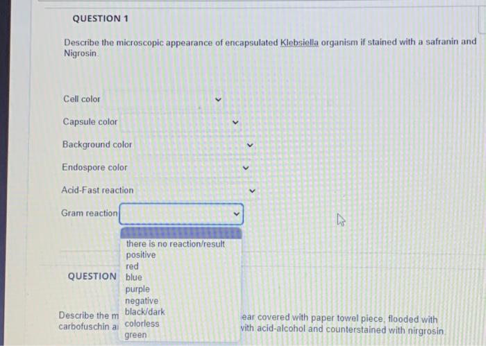 Solved Describe the microscopic appearance of encapsulated | Chegg.com