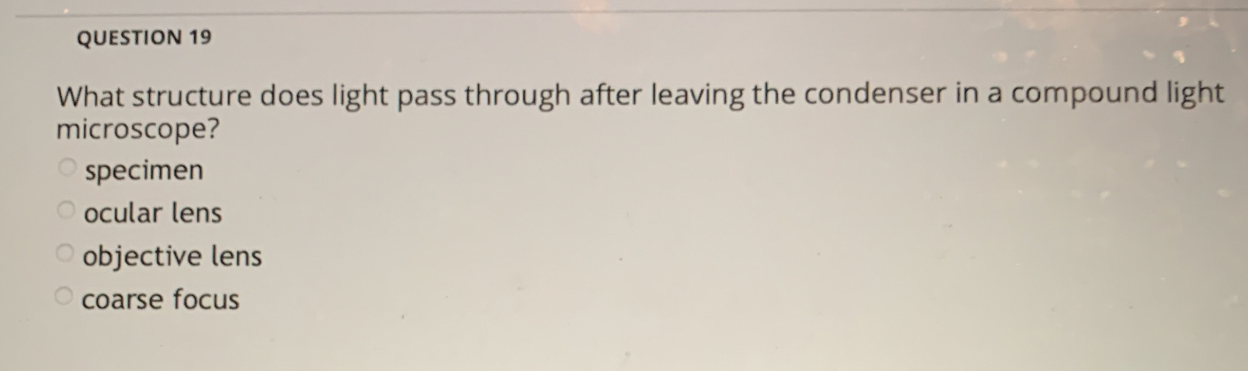 Solved QUESTION 19What structure does light pass through | Chegg.com