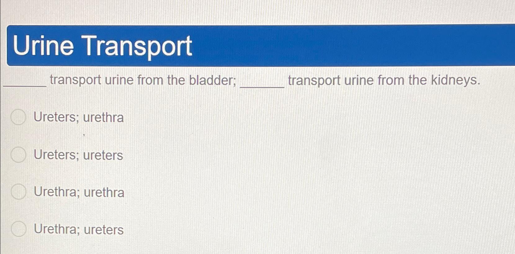 Solved Urine Transporttransport urine from the bladder; | Chegg.com