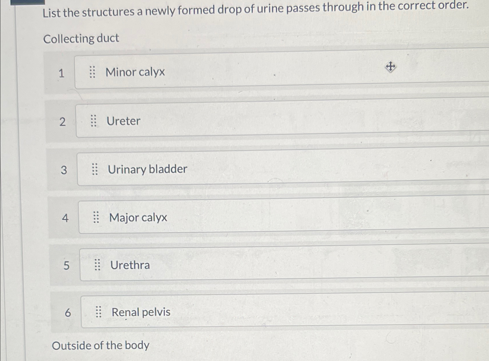 Solved List the structures a newly formed drop of urine | Chegg.com