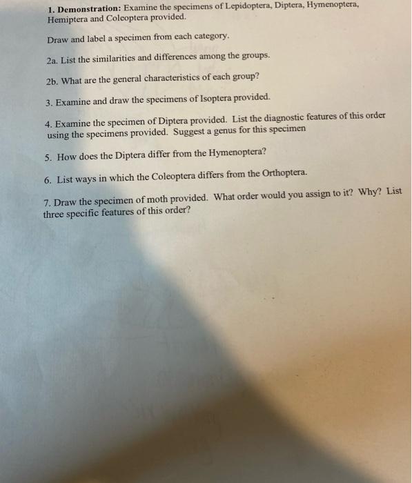 Solved 1. Demonstration: Examine the specimens of | Chegg.com