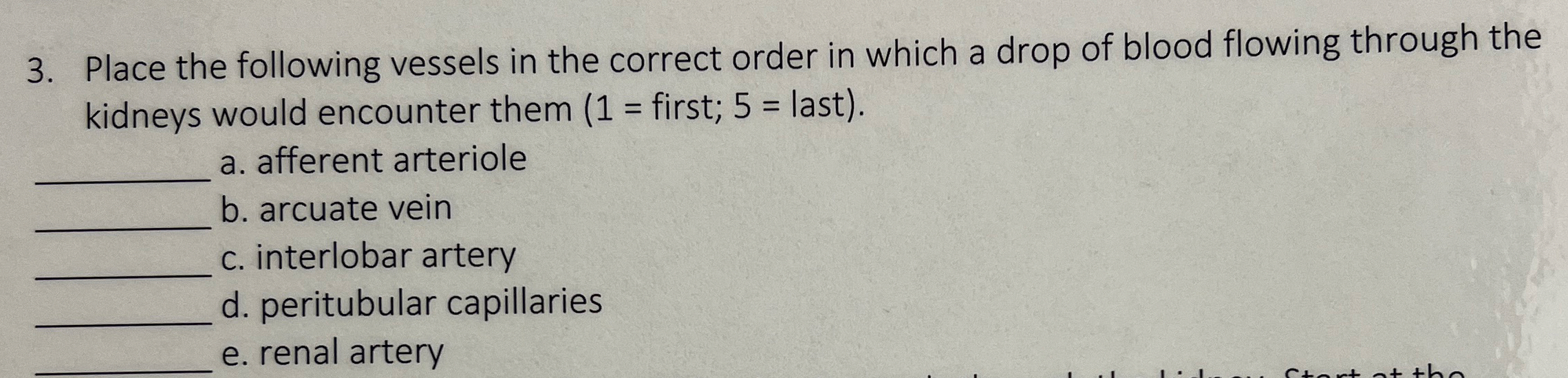 Solved Place the following vessels in the correct order in | Chegg.com