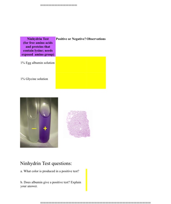 Solved Ninhydrin Test Positive or Negative? Observations | Chegg.com